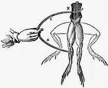 Awakenings: Simply Electrifying Power!