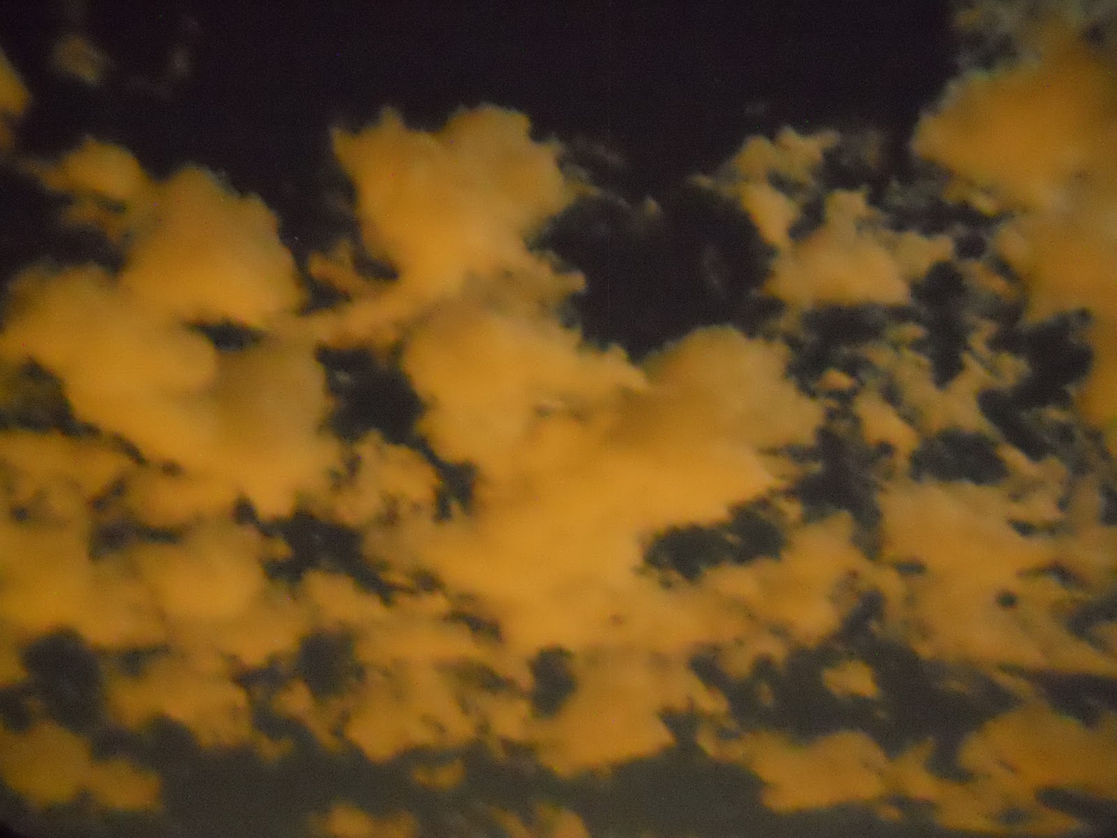 Oddball Observations : A SKY FULL OF YELLOW CLOUDS