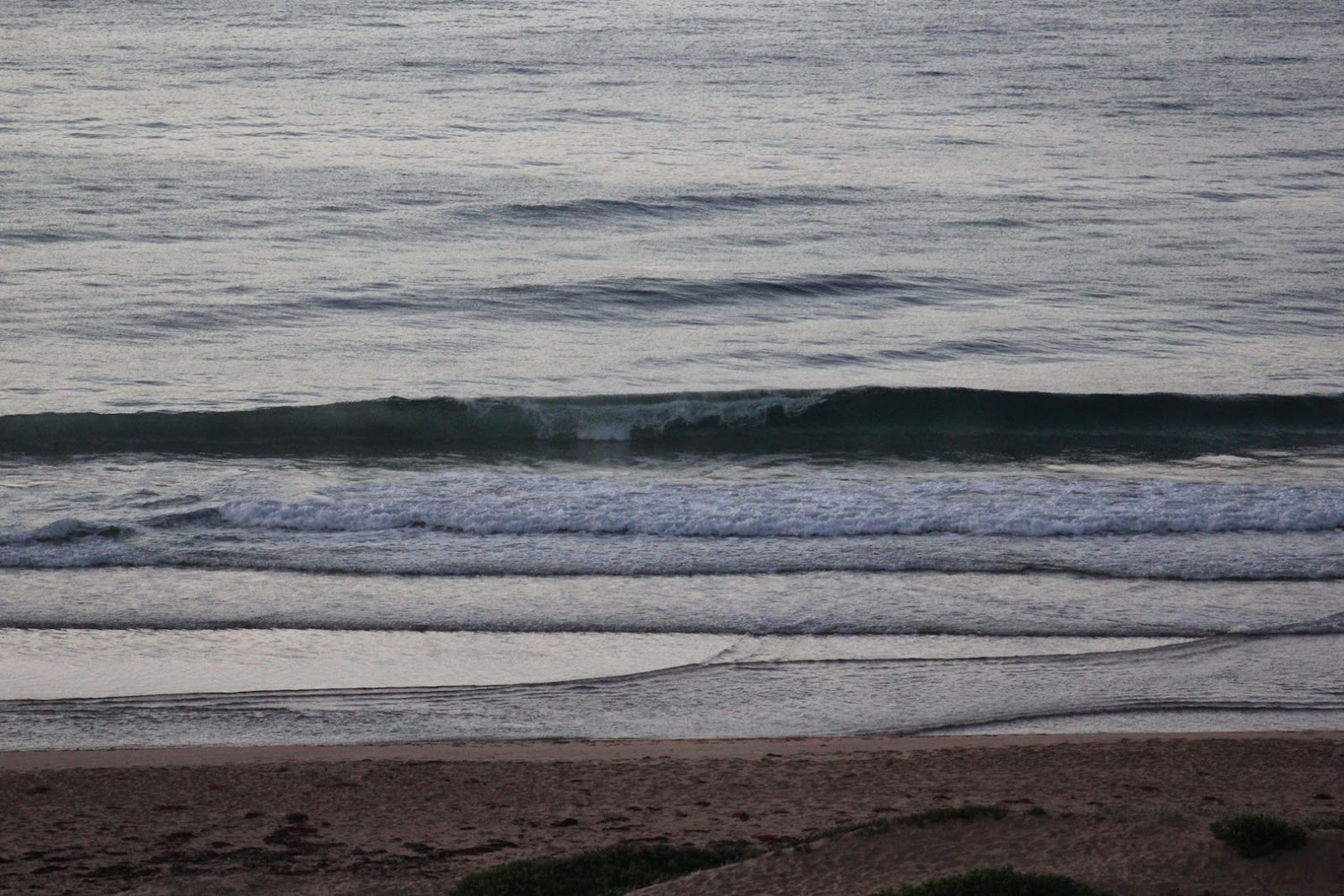 Shelly Beach Surf Report
