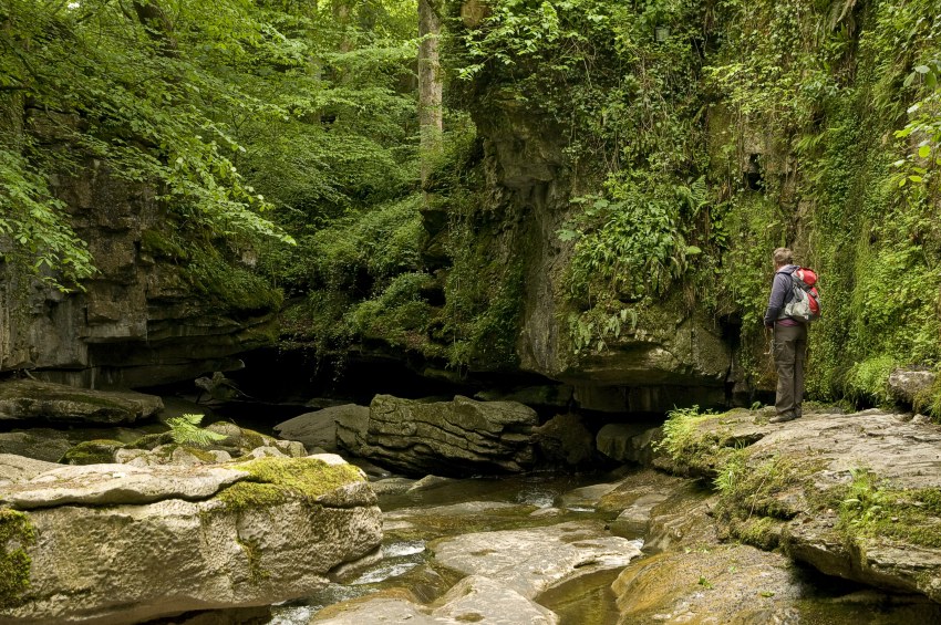 Around Scotland: HOW STEAN GORGE