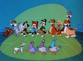 MC 'Toon Reviews: 'Toon Reviews 14: Animaniacs Vol 1 Part 1: De ...