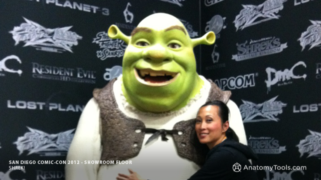 AnatomyTools.com: July 2012