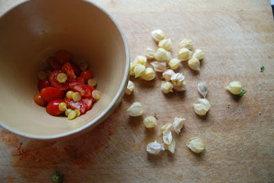 tend: ground cherries