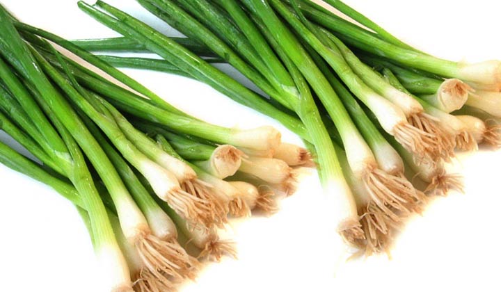 El Cebollin : El Cebollín