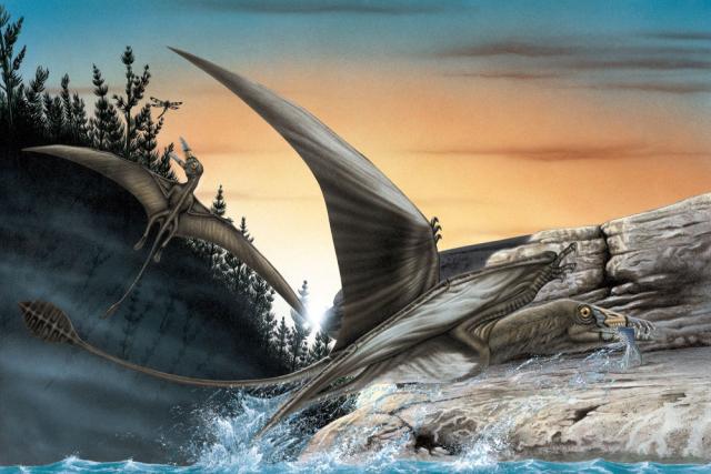 Blog de la Vida Prehistórica: Los primeros Pterosaurios