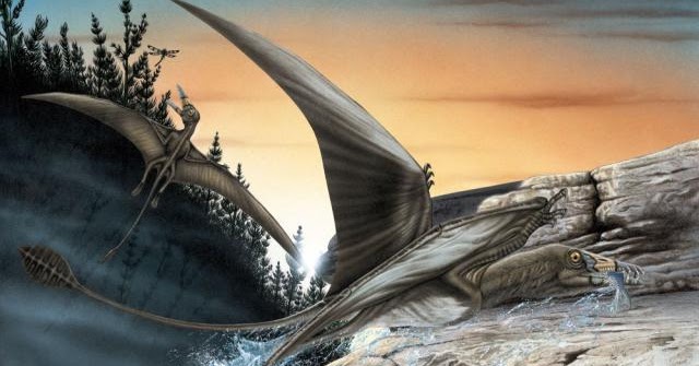 Blog de la Vida Prehistórica: Eudimorphodon