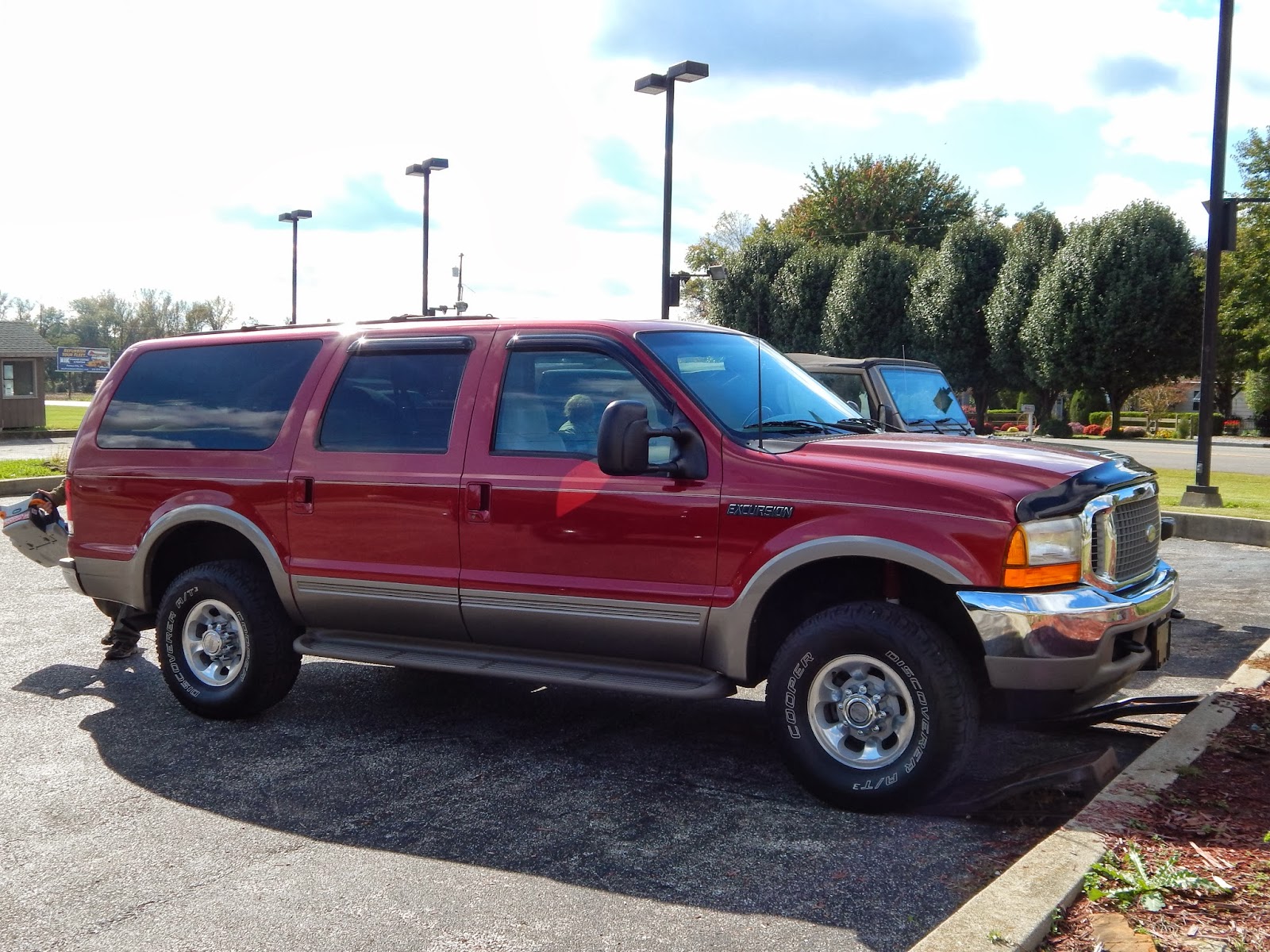 Dandee Lion Rose: So Red it is!!!!
