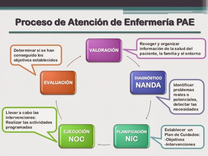 Mapa Conceptual Del Proceso De Enfermeria Primeros Images | The Best ... Mapa Conceptual Del Proceso De Enfermeria Primeros Images | The Best ...