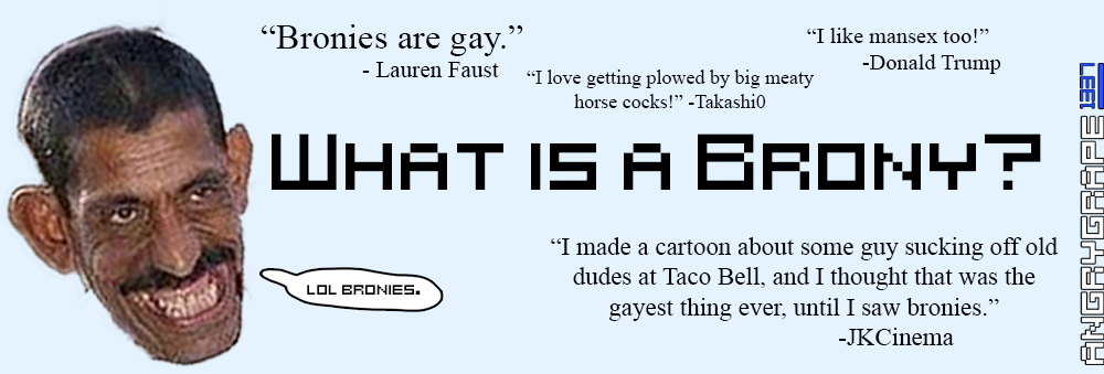 What is a brony?!: What is a brony?!