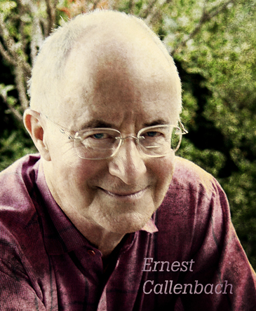 One Finger Cannot Lift A Pebble - The Greening of Gavin