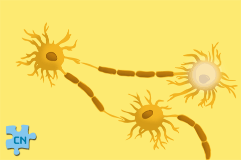 Biologia no Vestibular: Aula - Sistema Nervoso (Histologia e Fisiologia)