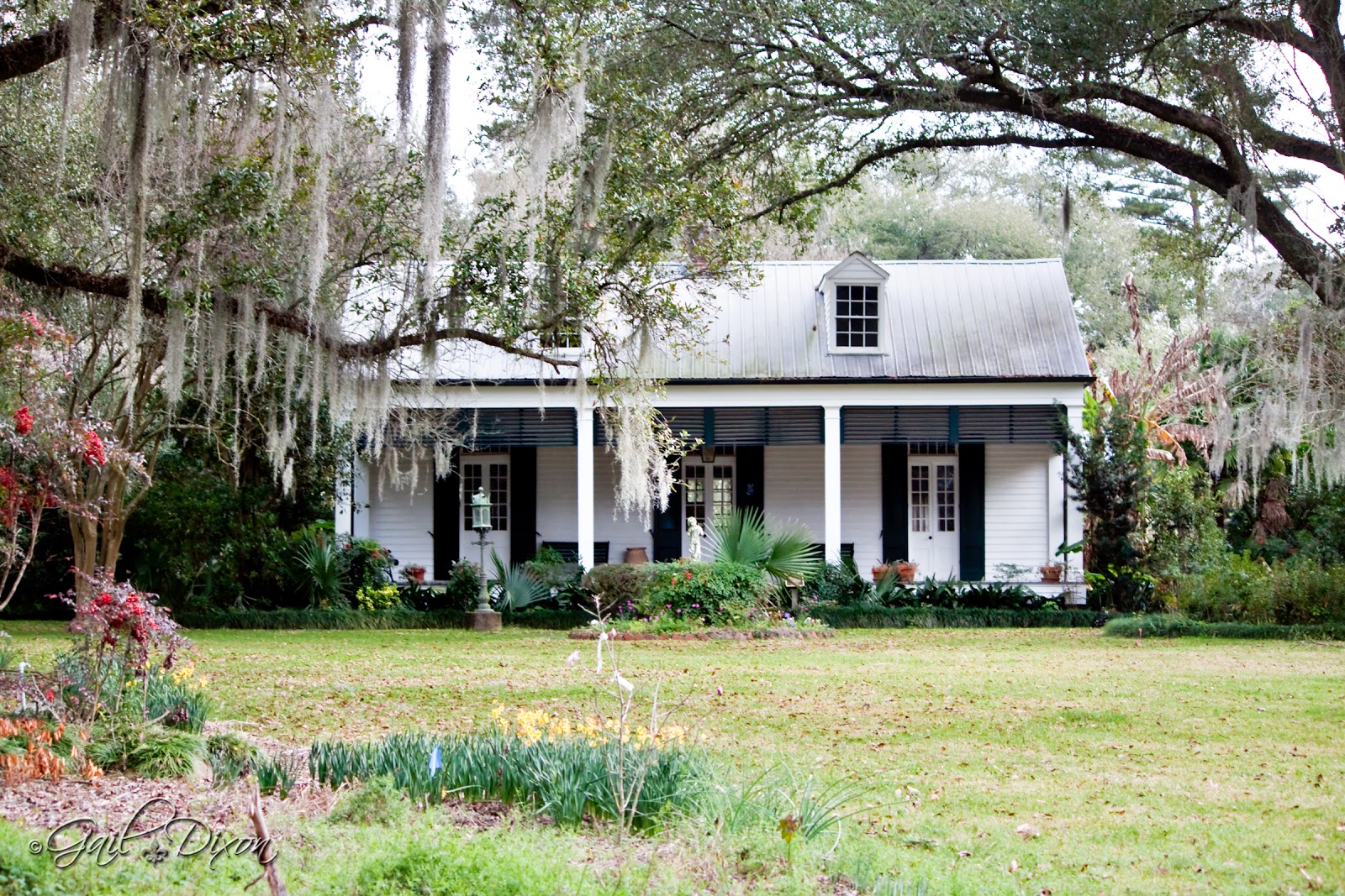 Louisiana Belle: Rural Life