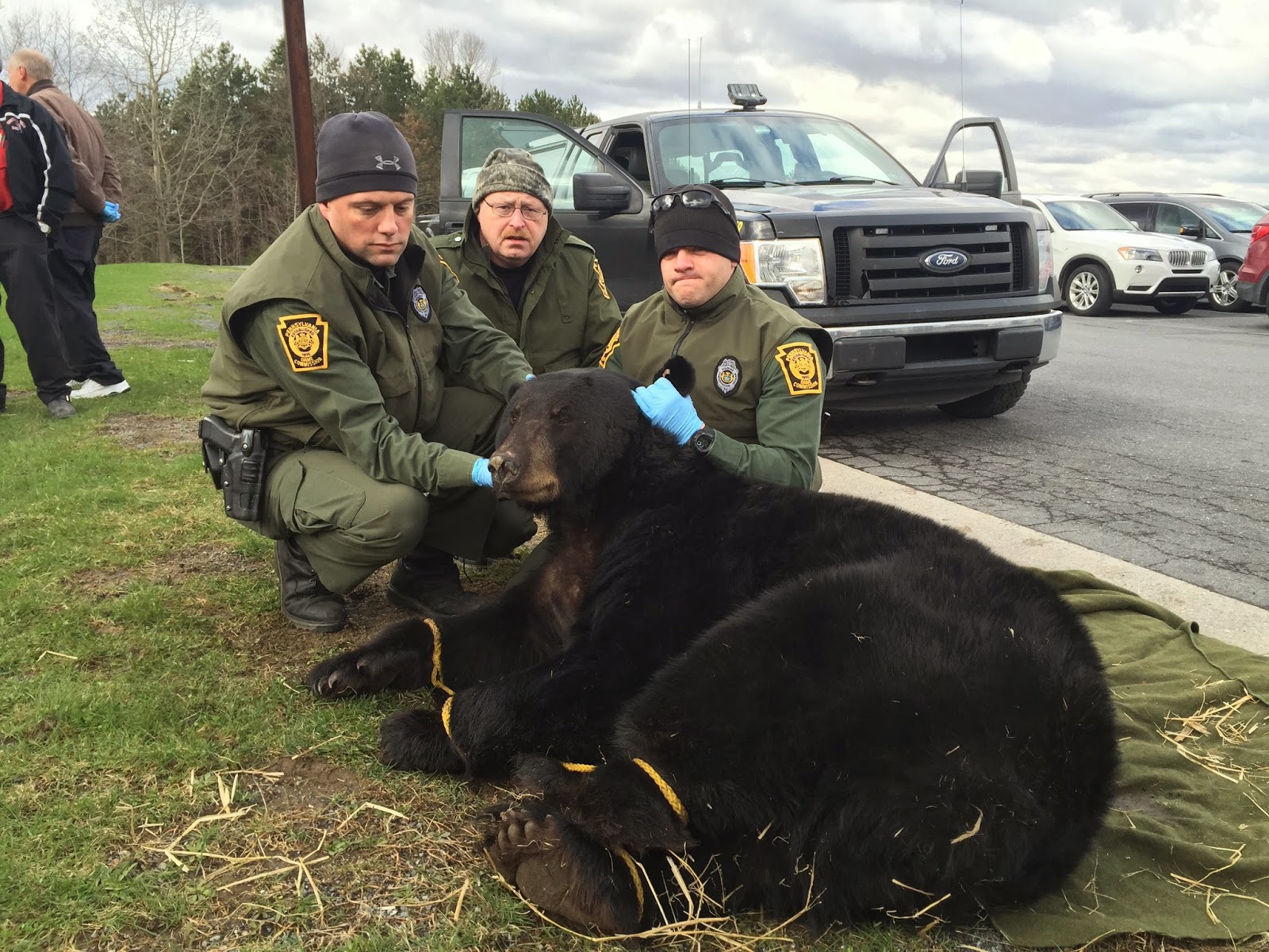 Central Cambria School District News: CES PA Game Commission Visit