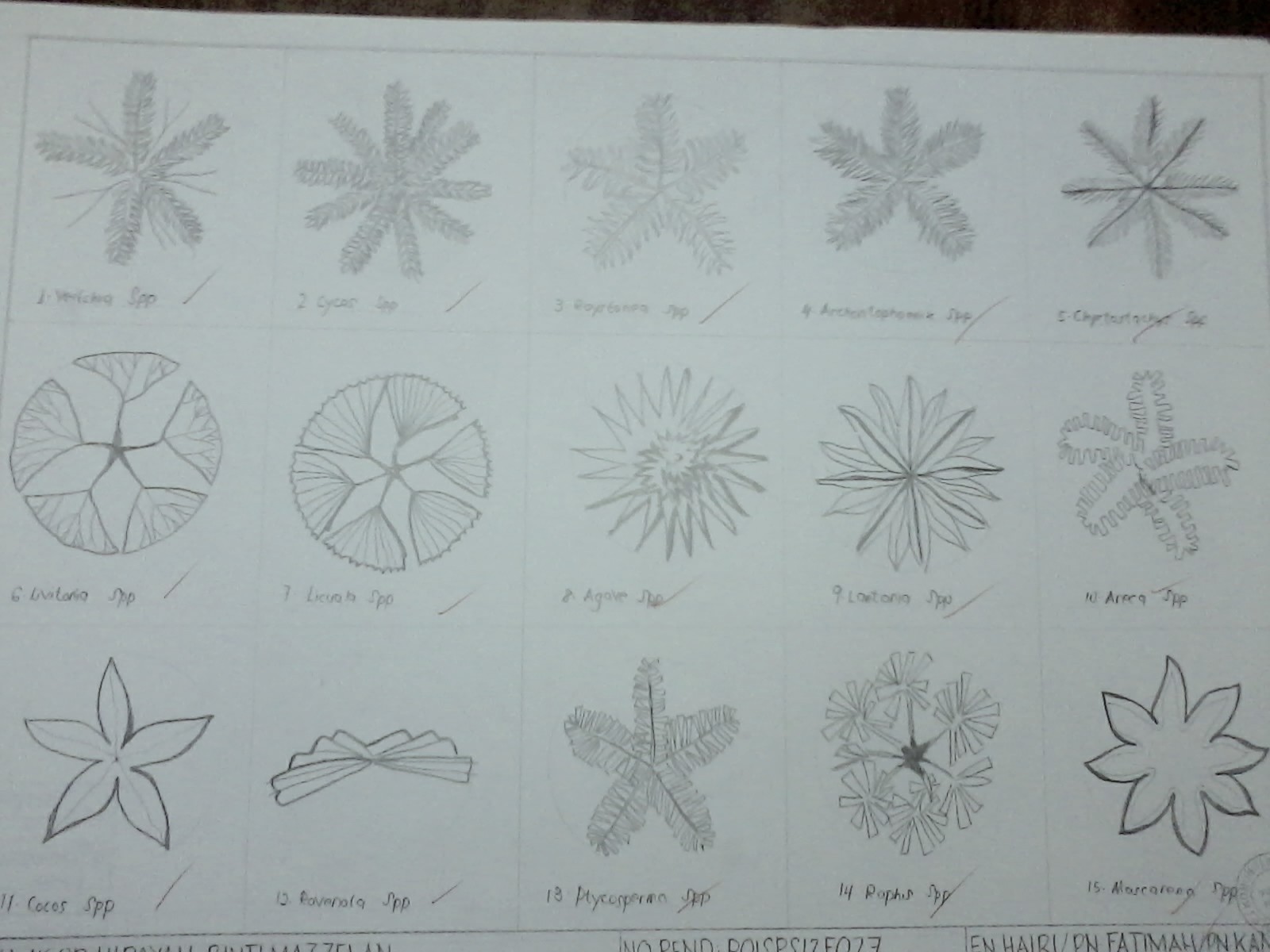 VIRTUAL FOLIO HIDAYAH M: SIMBOL PALMA