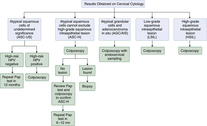 Medical Laboratory Technology - SOP: Bethesda System 2001