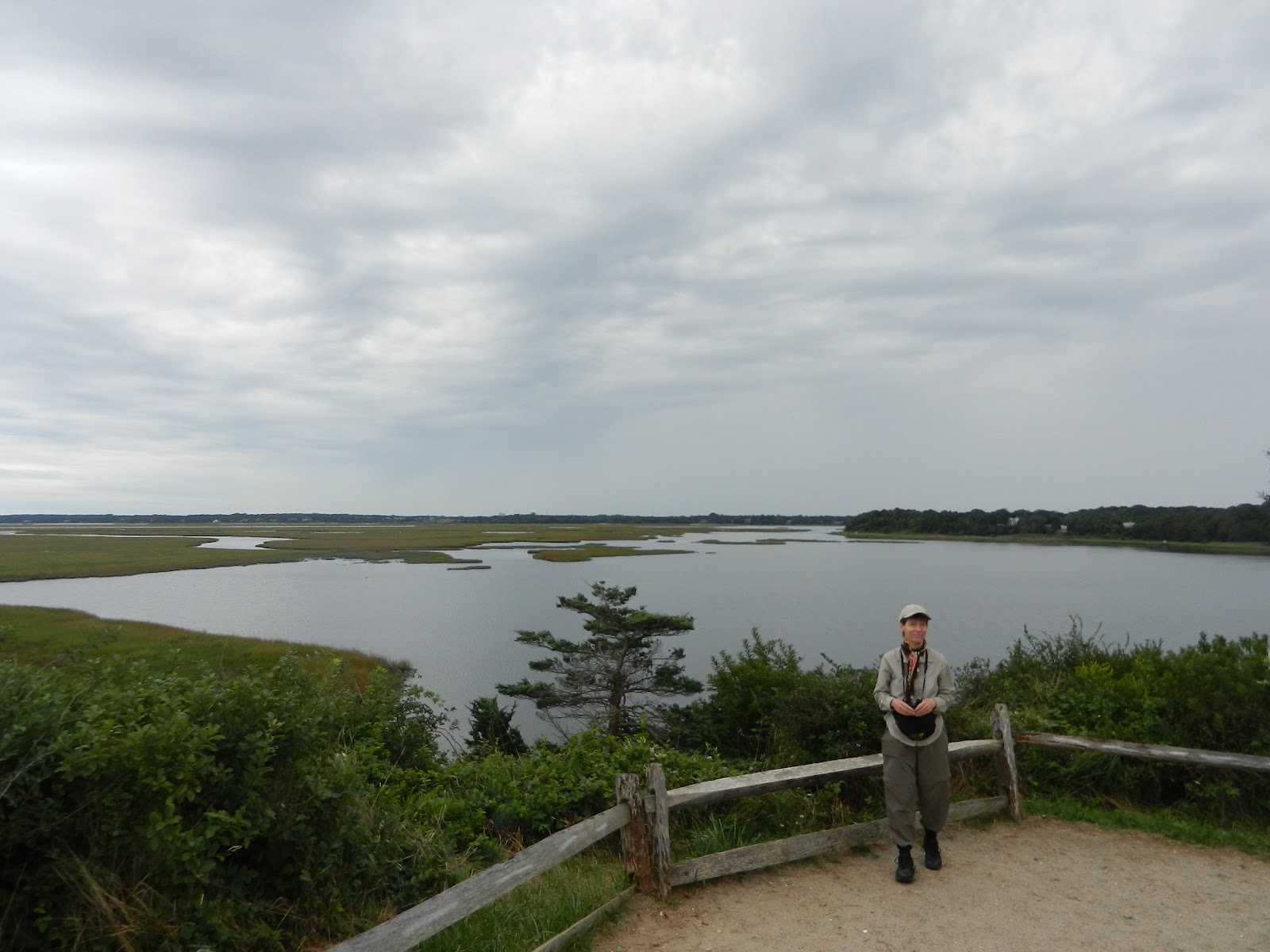 TM Gallery: nauset marsh
