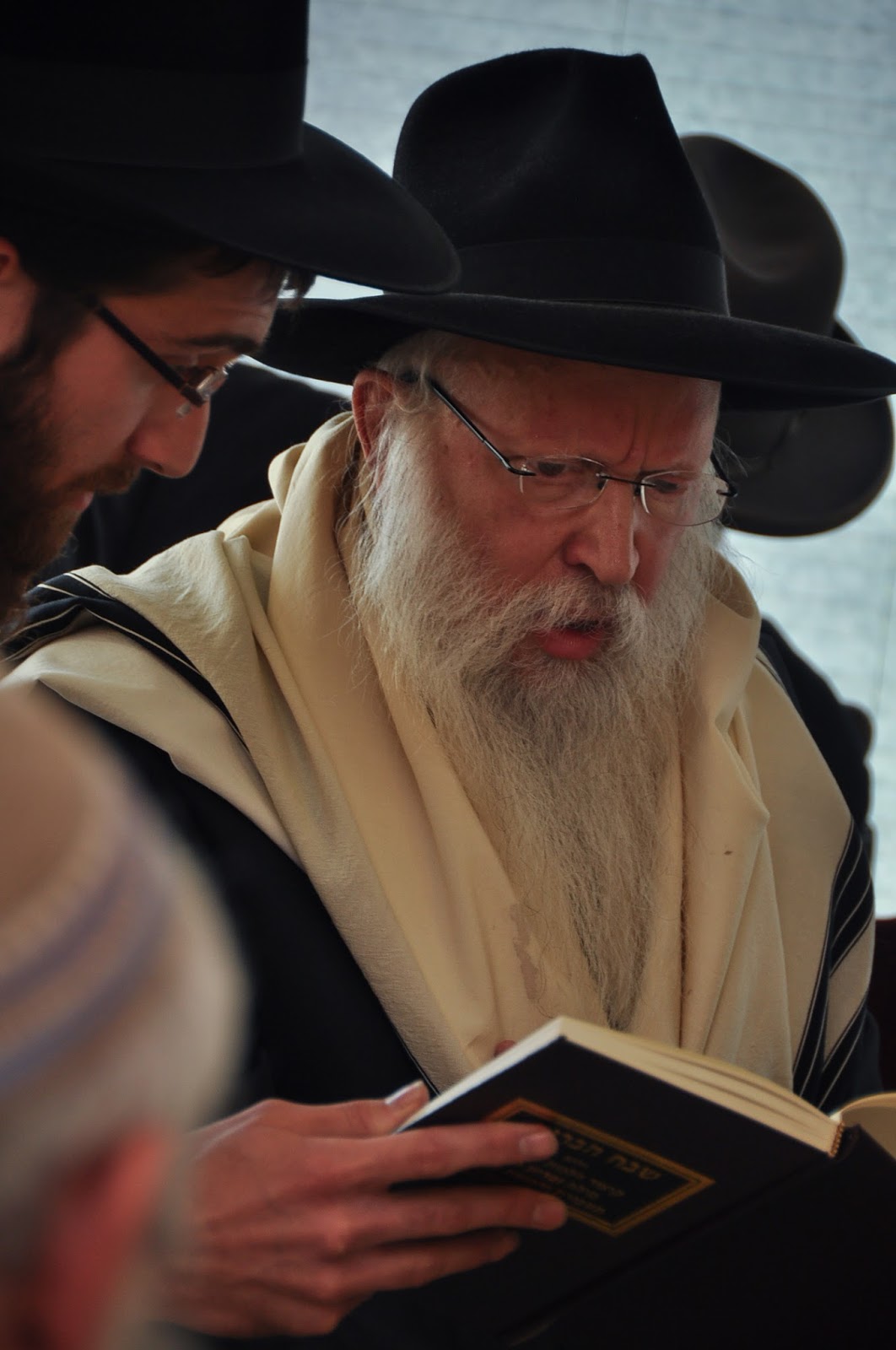 Rabbi Yitzchak Ginsburgh - About