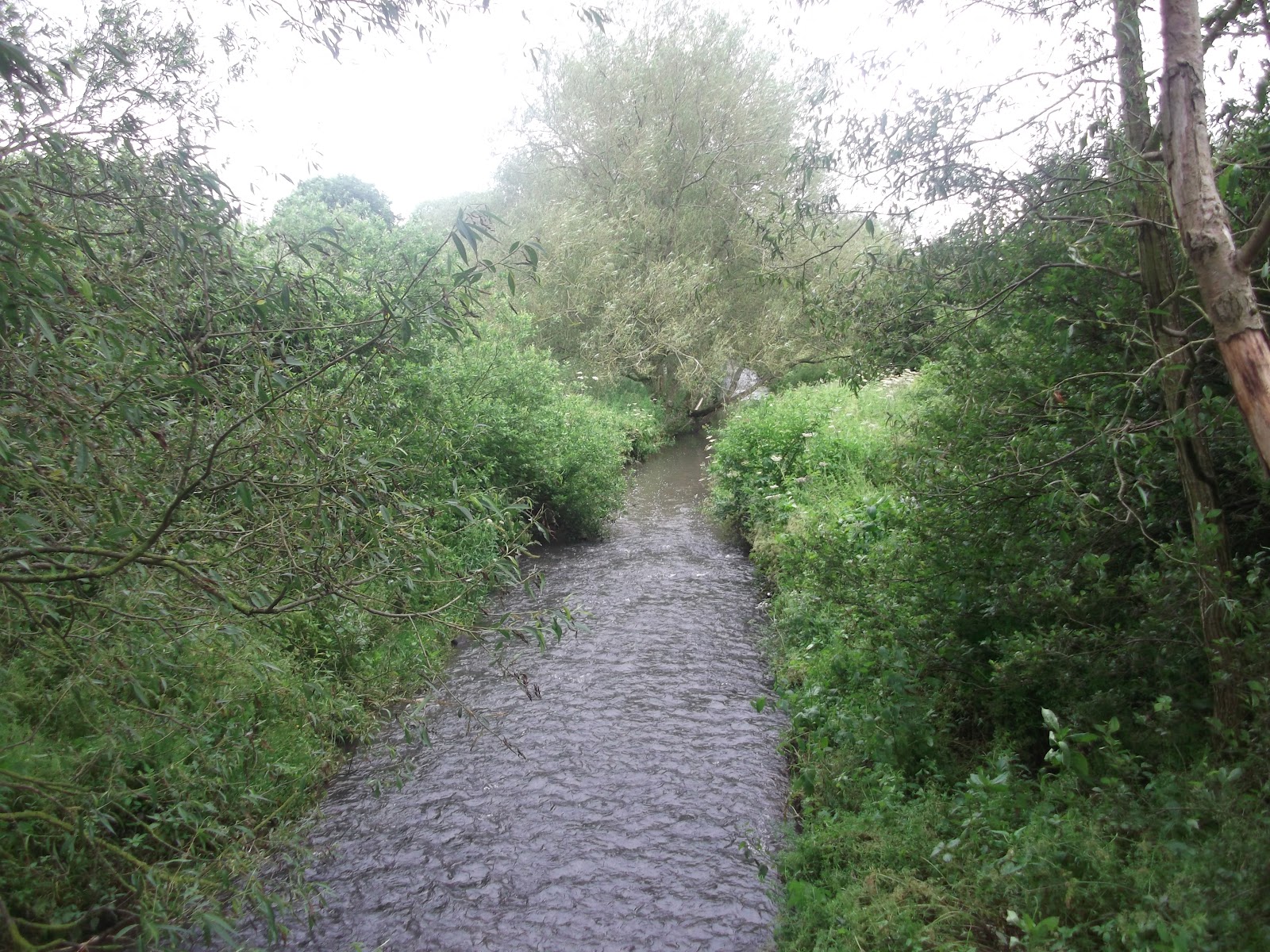 A Brummie's Guide to Birmingham: River Rea; Cartland Road – Dacer Close