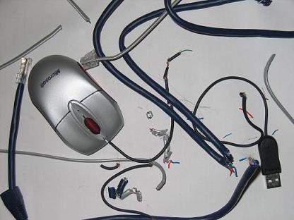 Pet Talk from NHAH: Your dog chewed your what?!