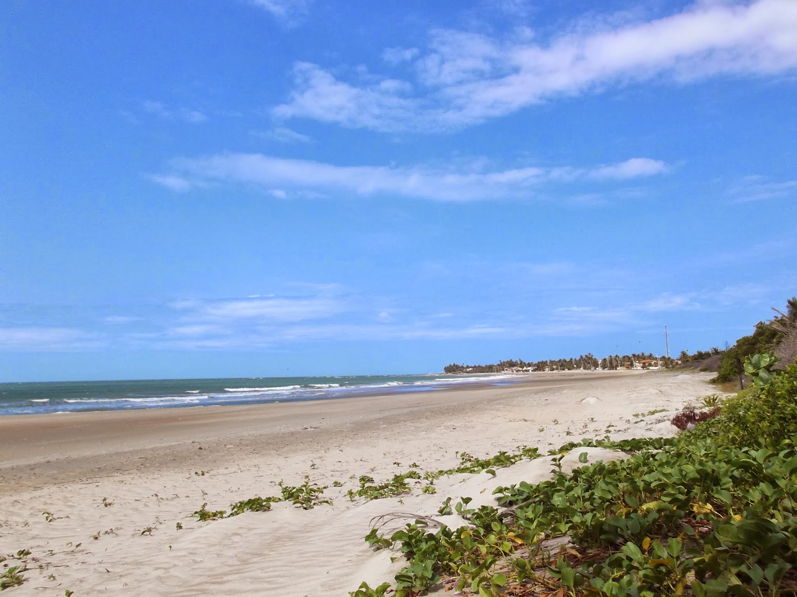 Visita à Praia de Flexeiras - Pergaminho Amarelo