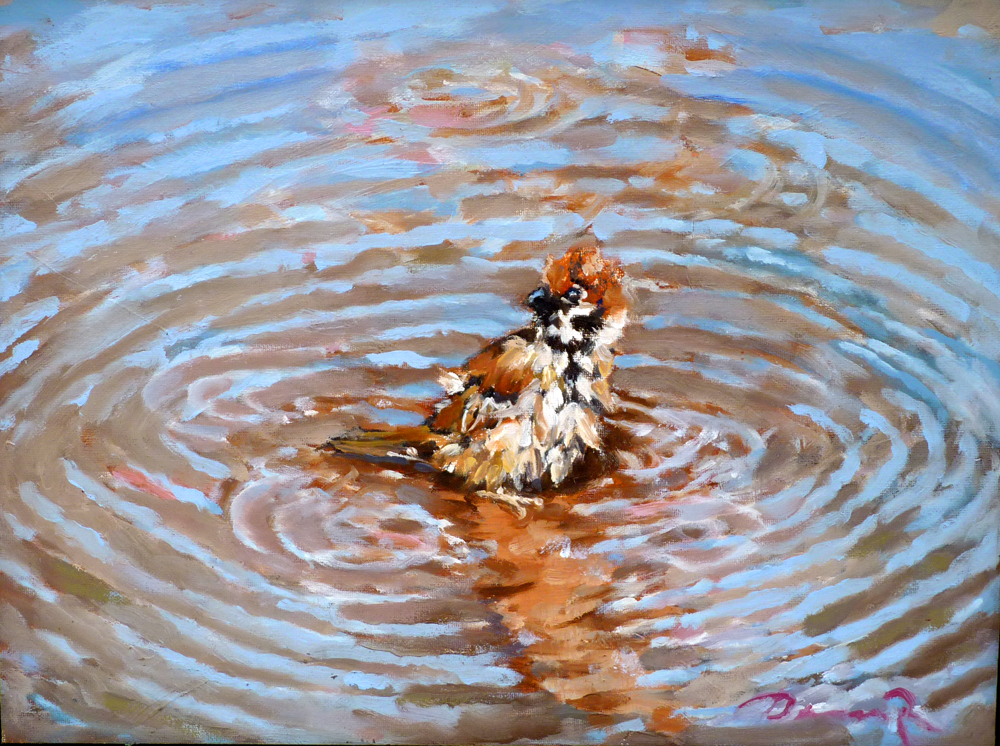 Fugle malerier af Danny Rasmussen