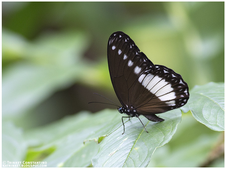 breathing space: After 100+ years