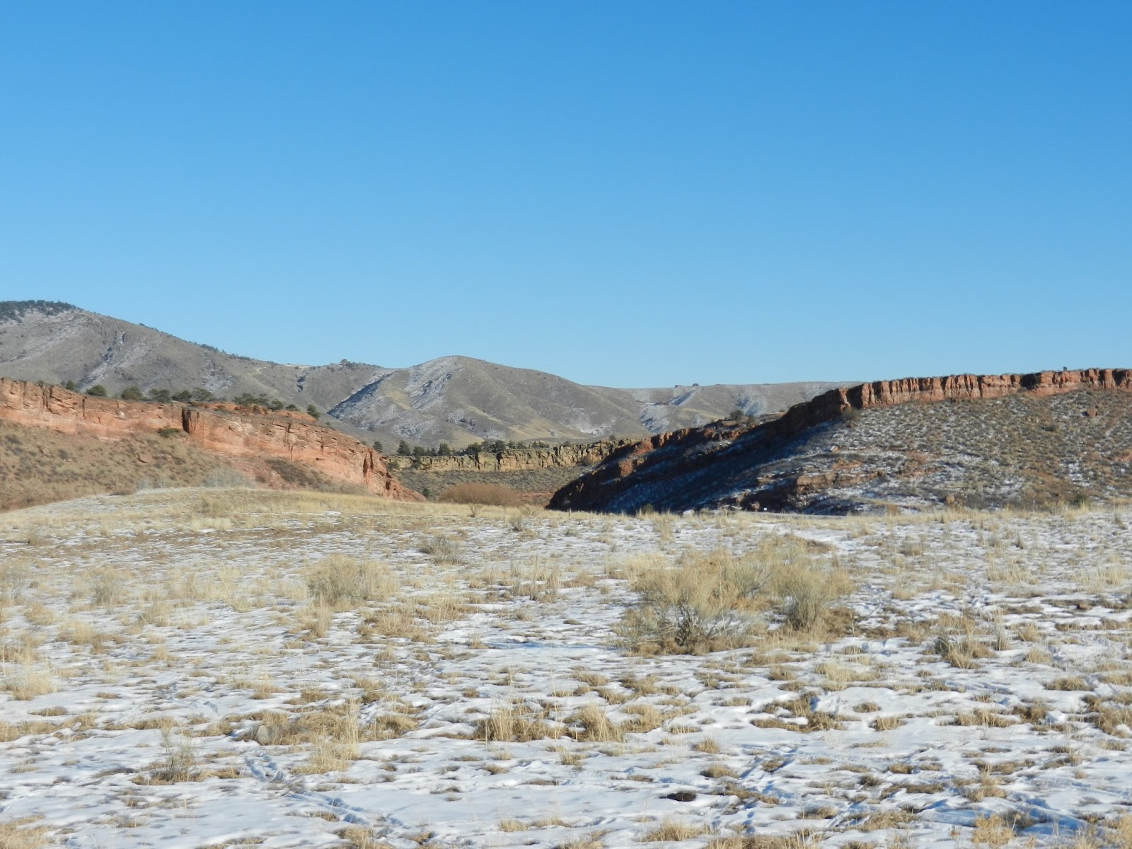 Natural Areas: Bobcat Ridge
