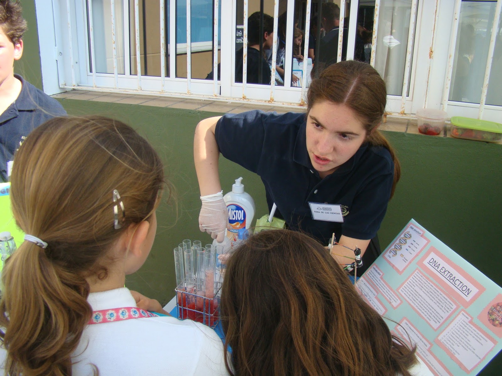 Science Magazine: DNA Extraction From Strawberries- Science fair ...