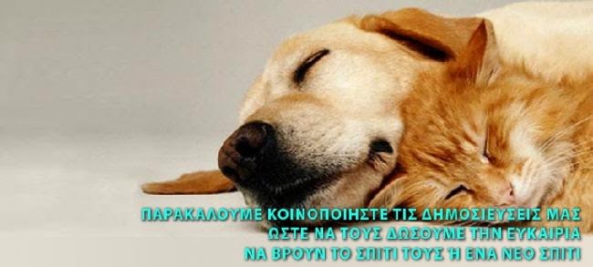 ΑΔΕΣΠΟΤΑ ΘΡΙΑΣΙΟΥ & όχι μόνο