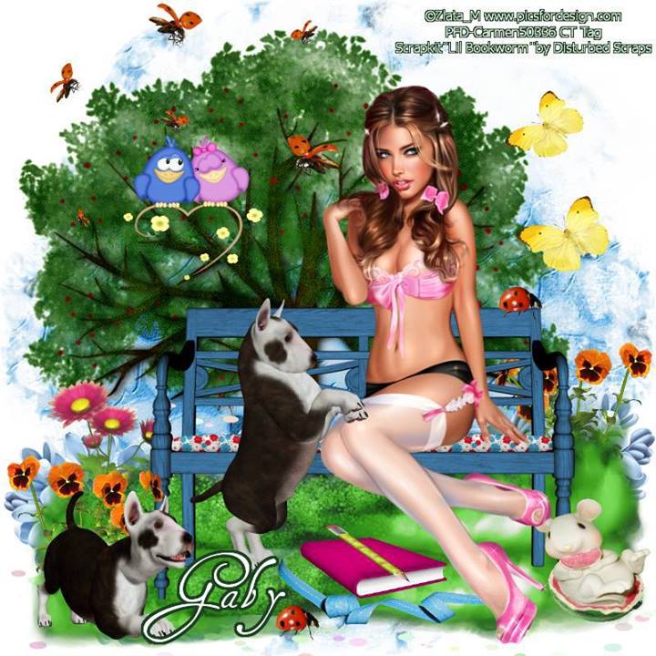 Disturbed PSP tutorials: 2013