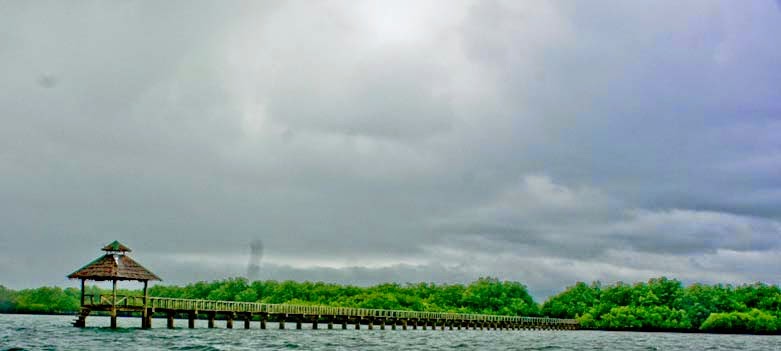 Through the Highways and Byways : Bais City - Beyond Dolphin Watching ...