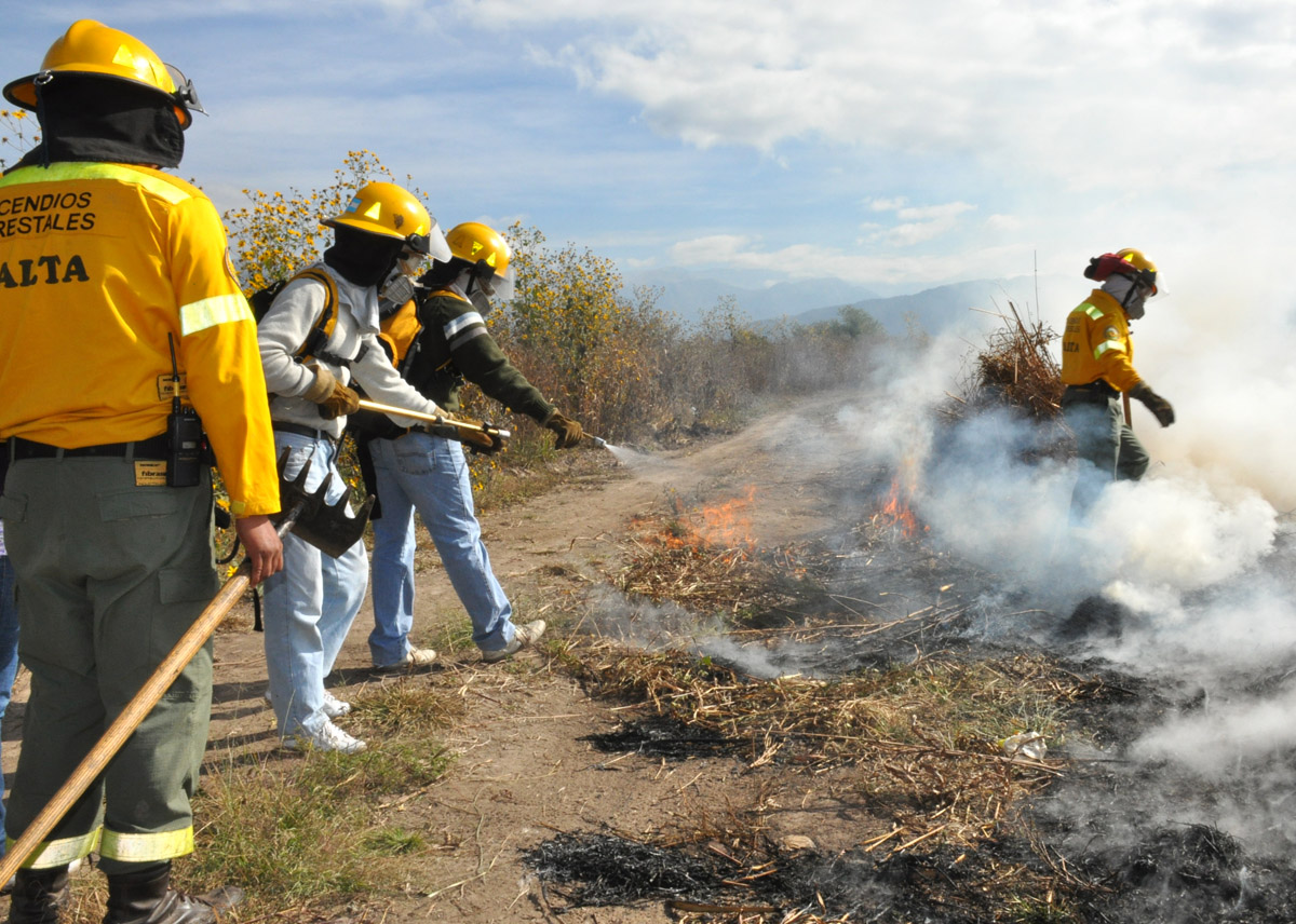 Verde Zona: Causas de un incendio forestal I