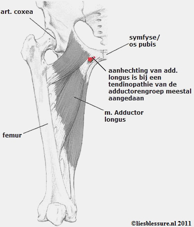 Blog Stefan Biesmans: Spierscheurtje!