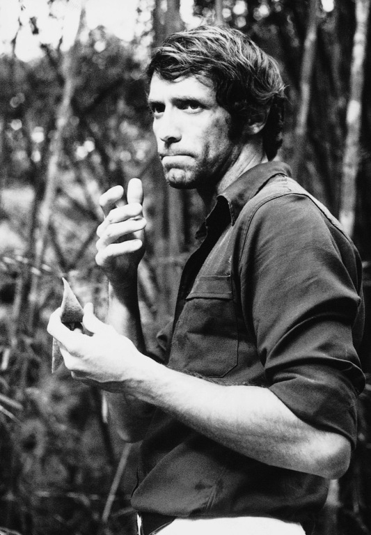 Tube Dreams: Spaghetti and Beefcake