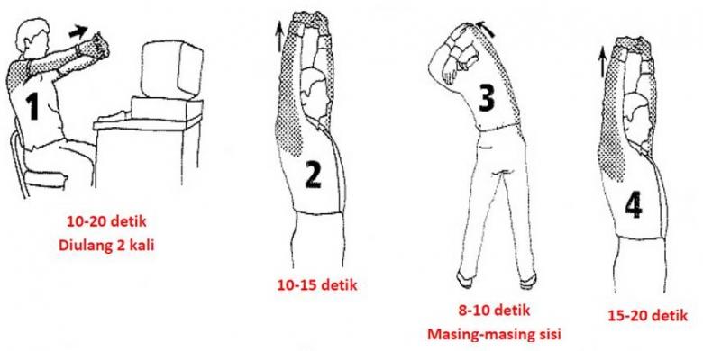 Posisi Duduk Yang Benar Pada Saat Belajar - INFO MAIQ
