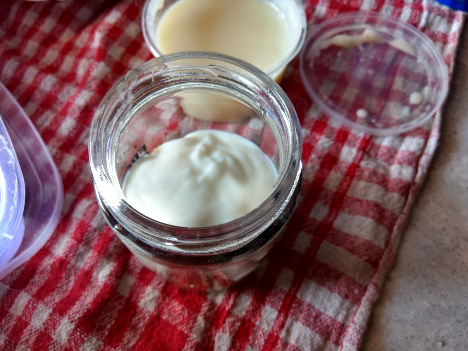 Bionico - Mexican Fruit Dessert