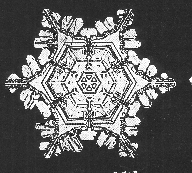 Mutated snowflakes from the Japanese nuclear react: Nuclear fallout ...