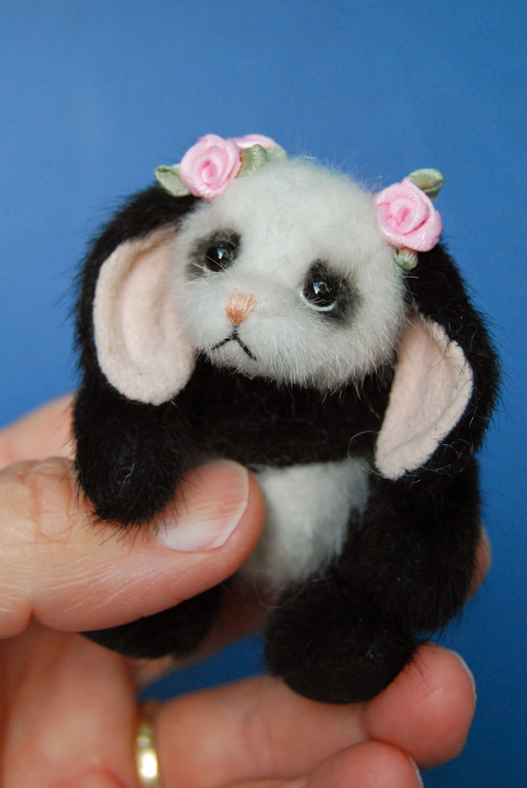 Donna and the Bears: The Show Has Begun!!