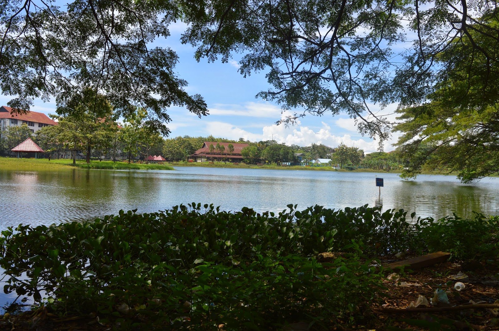 mozaik arsitek : Pesona Danau UNHAS