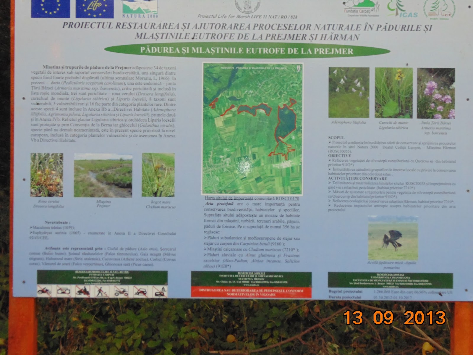 YOFF - FAUNA AND FLORA Romanian Program: septembrie 2013