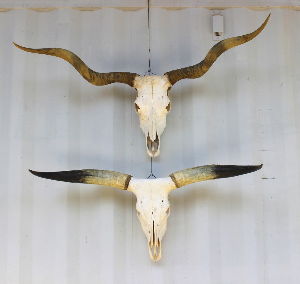 The Field Lab: Head Gear