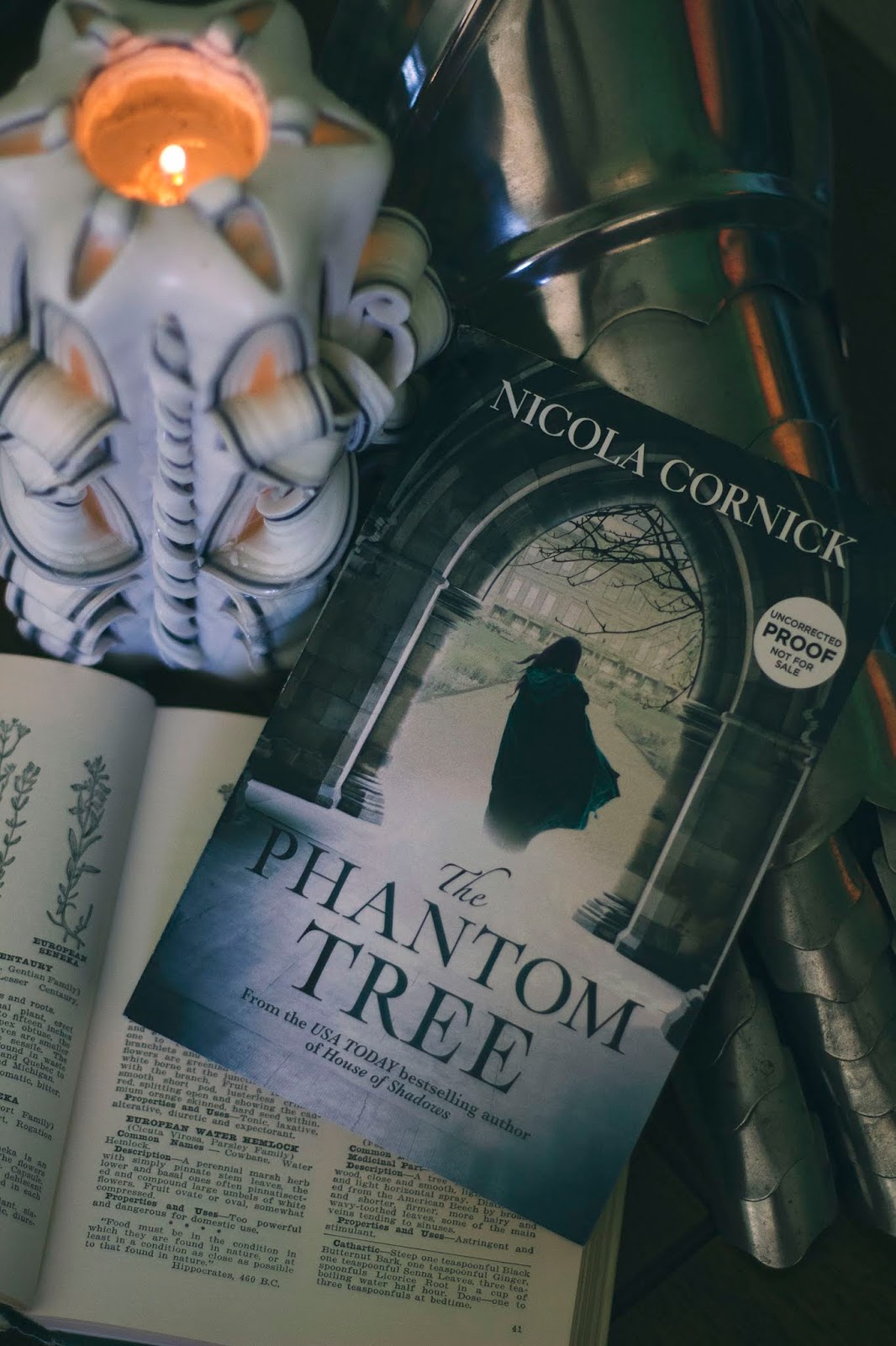 Diary of a Stay at Home Mom: { The PhantomTree by Nicola Cornick - TLC ...