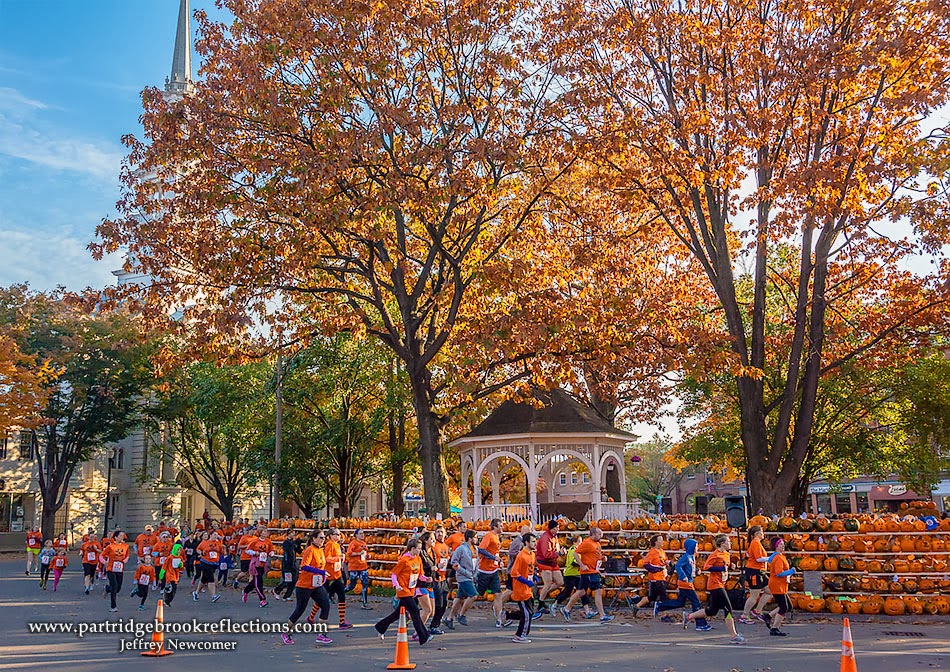 Getting it Right in the Digital Camera : Autumn Revisited