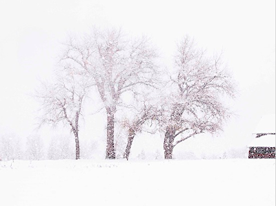 VL Artist of the Day: VL Magazine Artist of the Day is Photographer ...