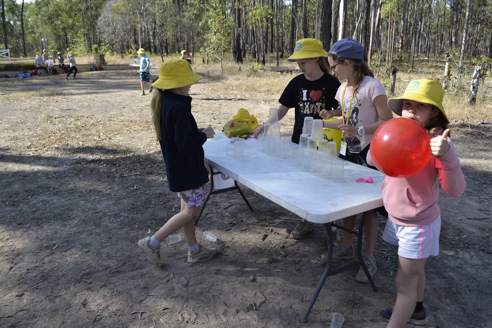 Queensland Cuboree: 2018