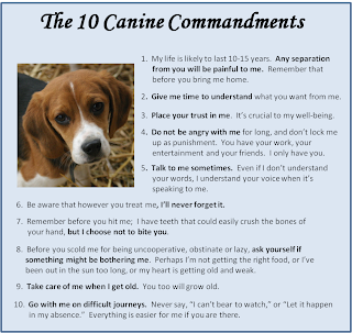 Beagle Rescue USA: The 10 Canine Commandments