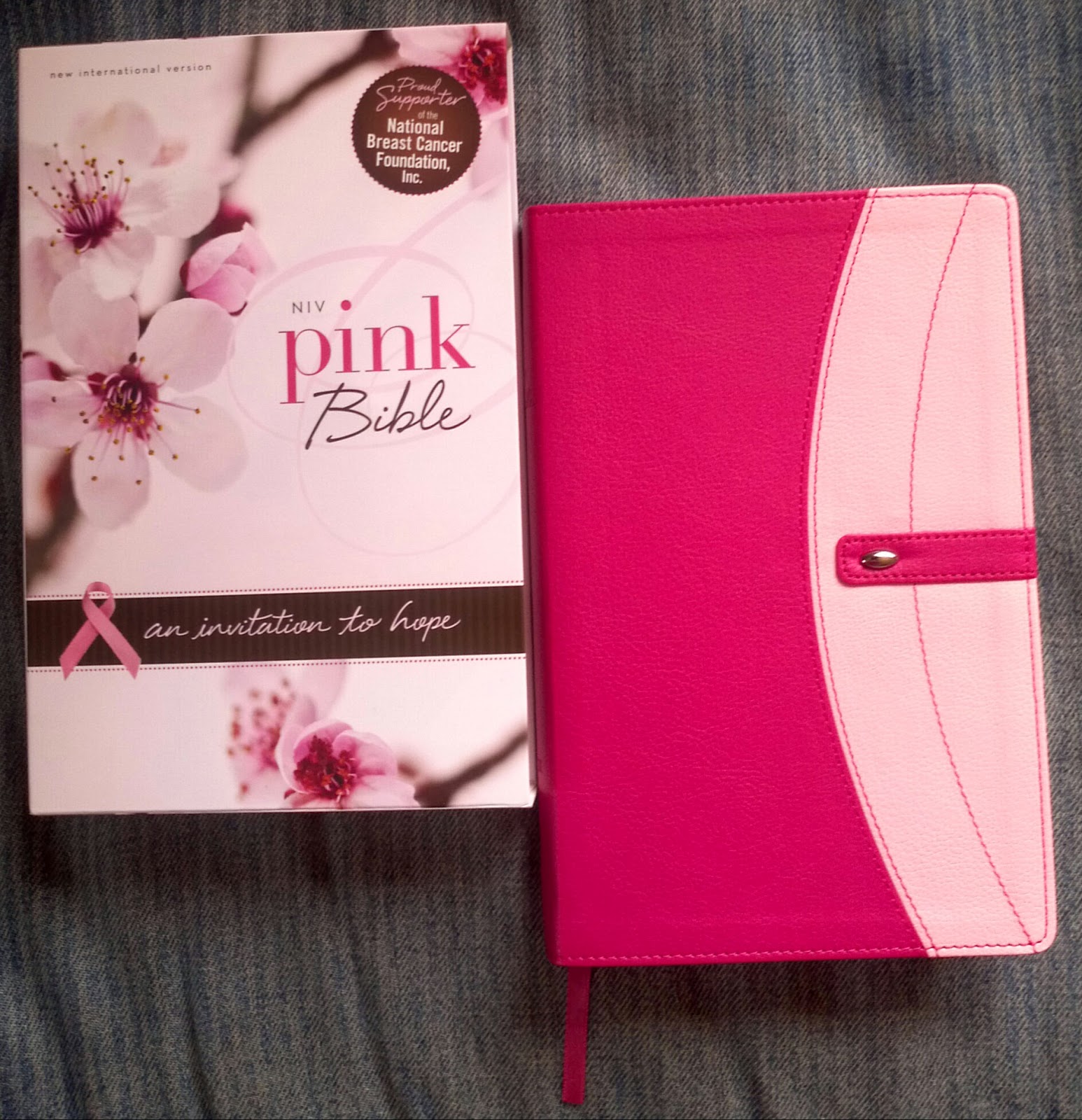 Relevant Inspirations!: NIV Pink Bible