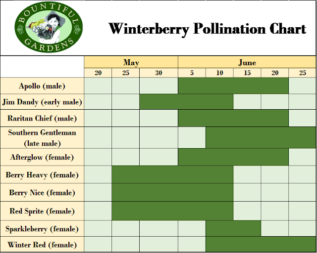 Gardening: February 2017
