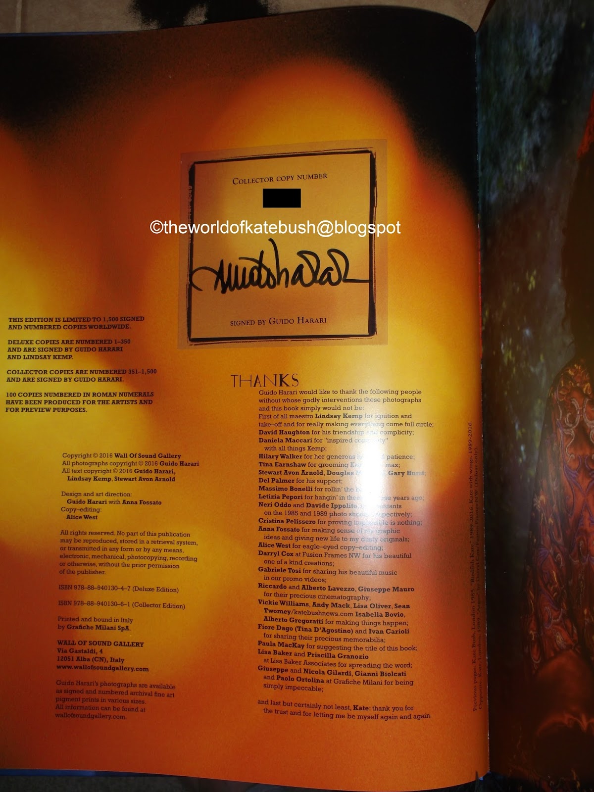 THE WORLD OF KATE BUSH: The Kate Inside: Collector Edition Book by ...