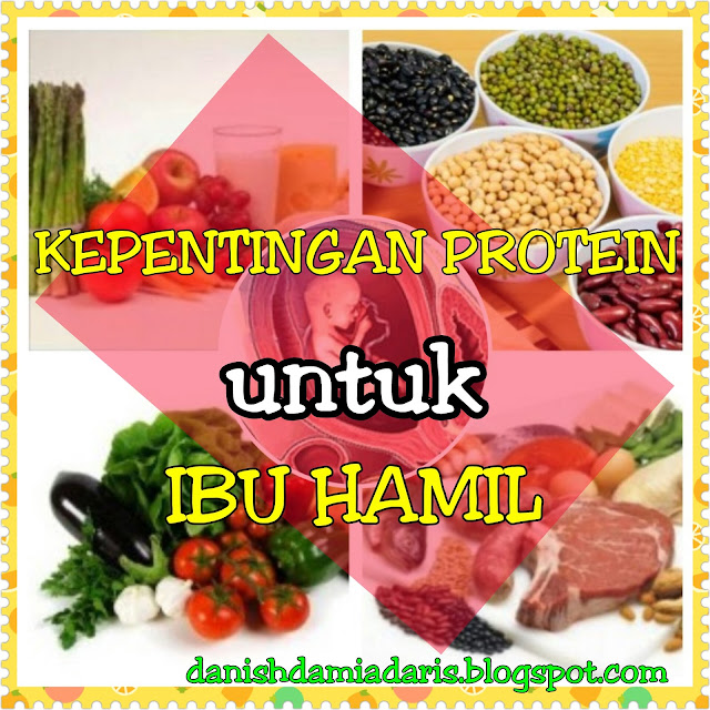 3D health beauty supplement: KEPENTINGAN PROTEIN UNTUK IBU HAMIL - ELAK ...